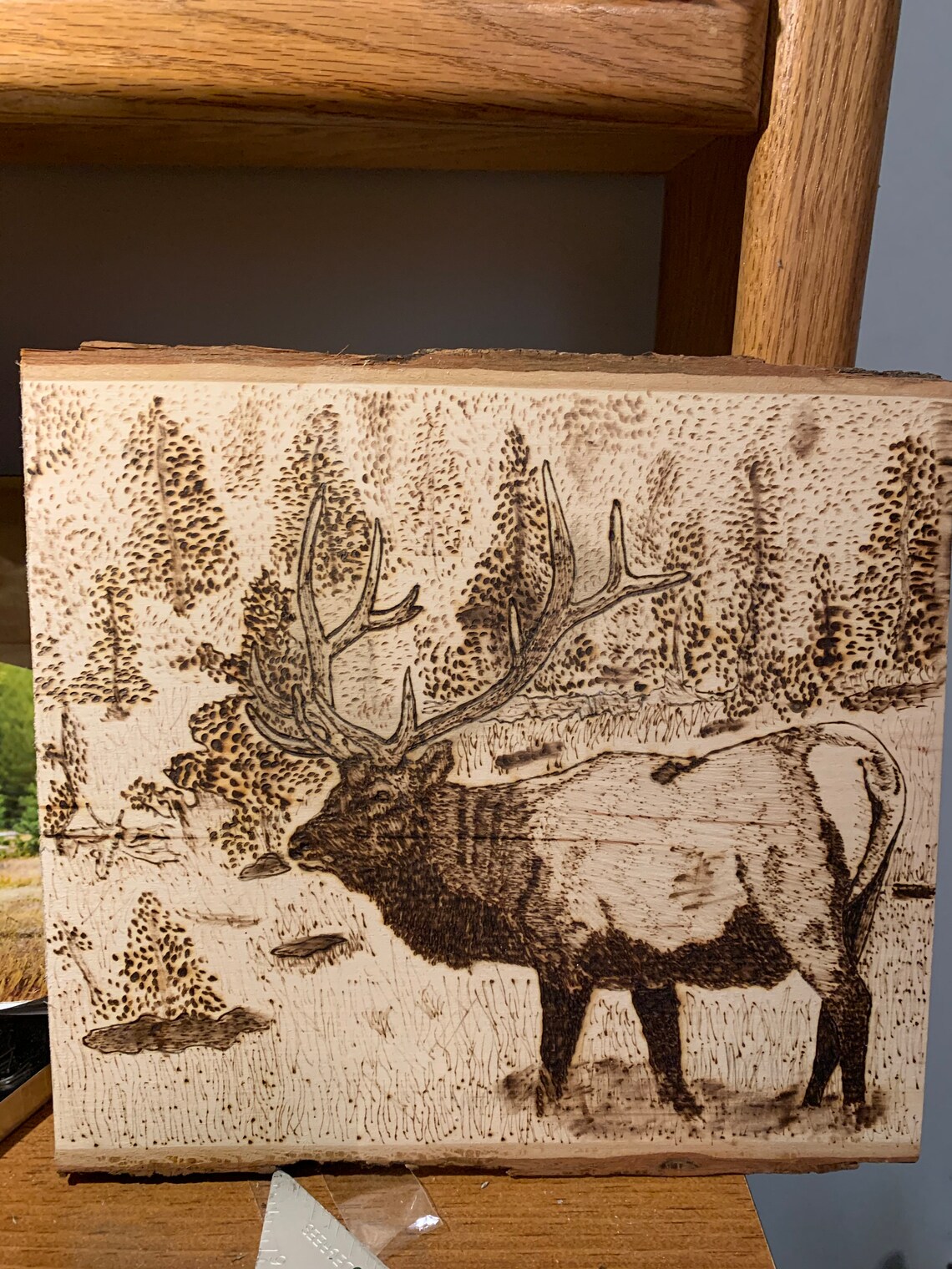 Bull Elk Pyrography Art - Etsy