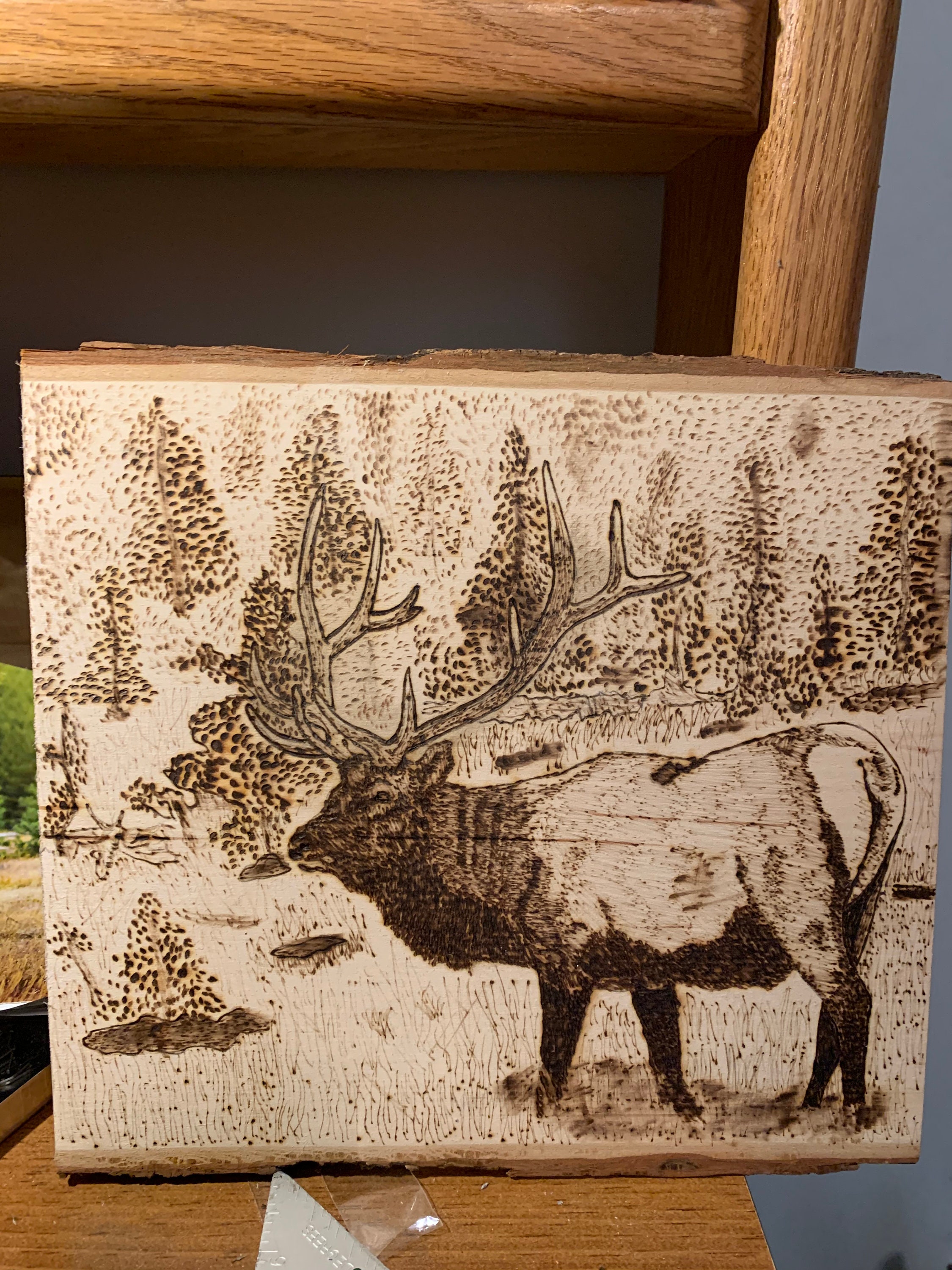Bull Elk Pyrography Art - Etsy