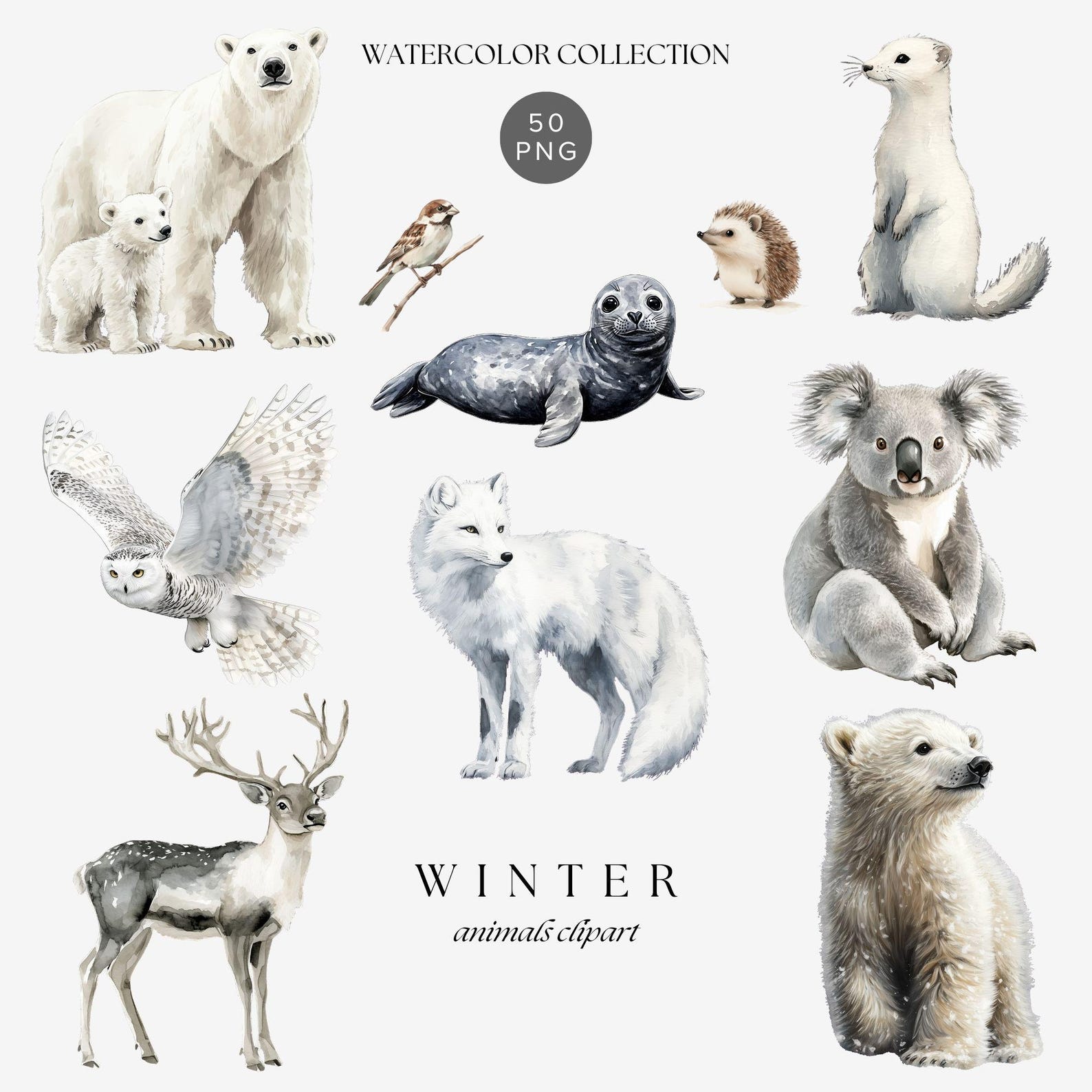 Watercolor Winter Animals Clipart, Arctic Wildlife Animals Clipart ...