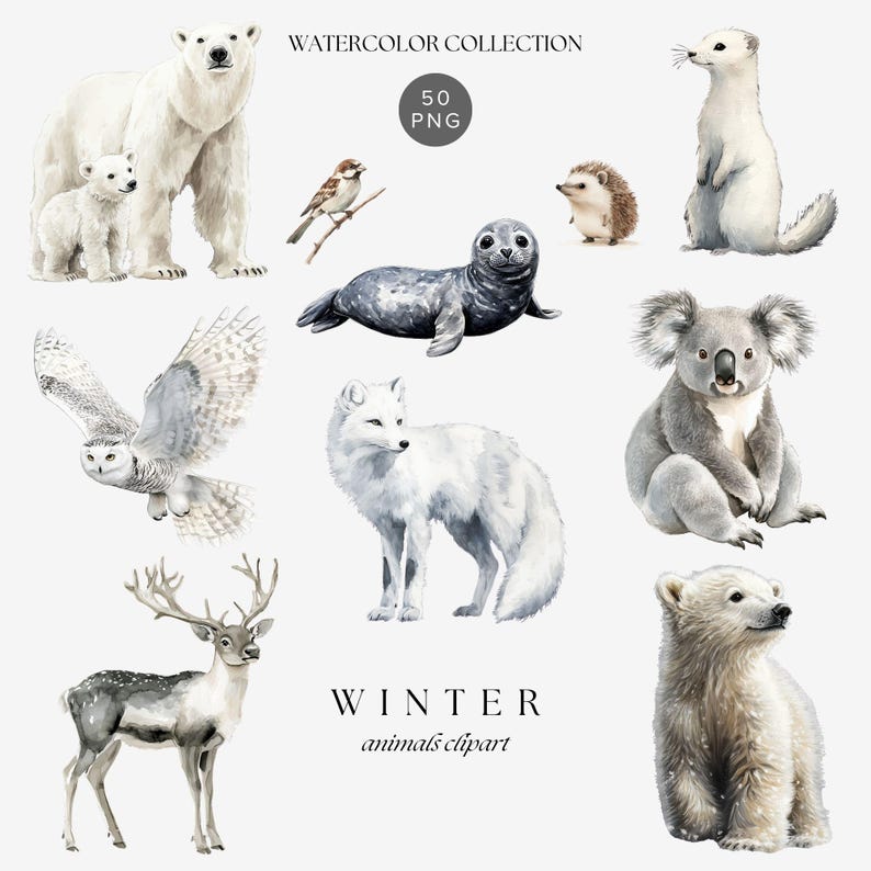 Watercolor Winter Animals Clipart, Arctic Wildlife Animals Clipart ...