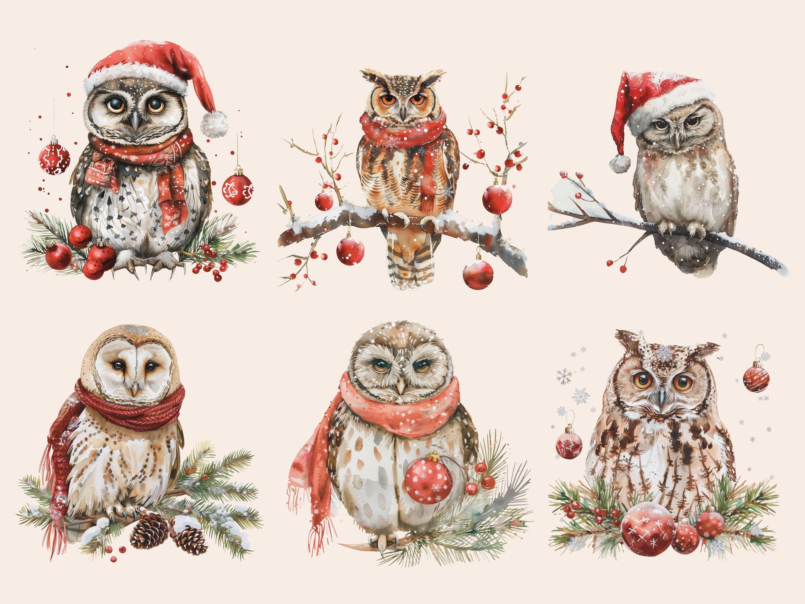 Watercolor Christmas Owl Clipart – Festive Winter Bird PNG, Holiday ...