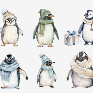 Watercolor Winter Penguin Clipart, Winter Animals Clipart, Penguin ...