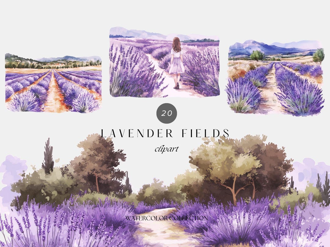 Watercolor Lavender Fields Clipart – Purple Wildflowers & Floral ...