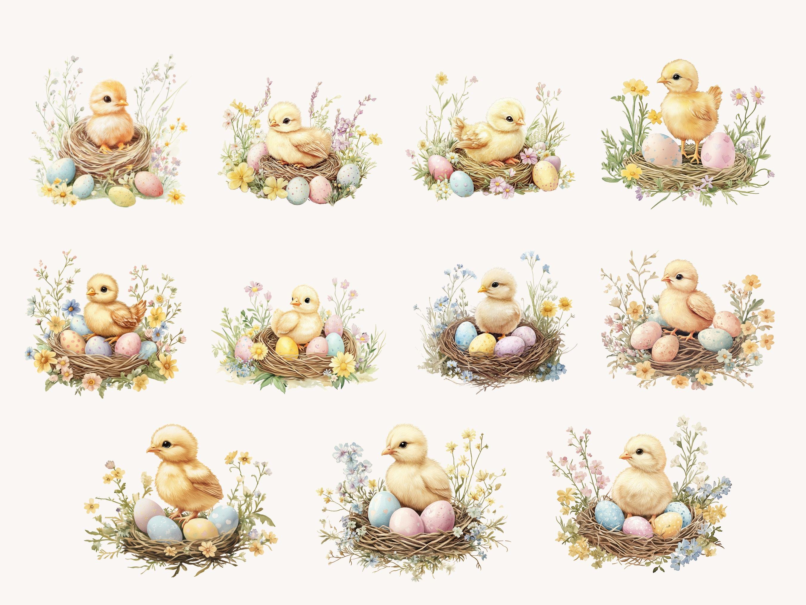 Watercolor Baby Chicken & Easter Eggs Clipart, Spring Png Graphics ...