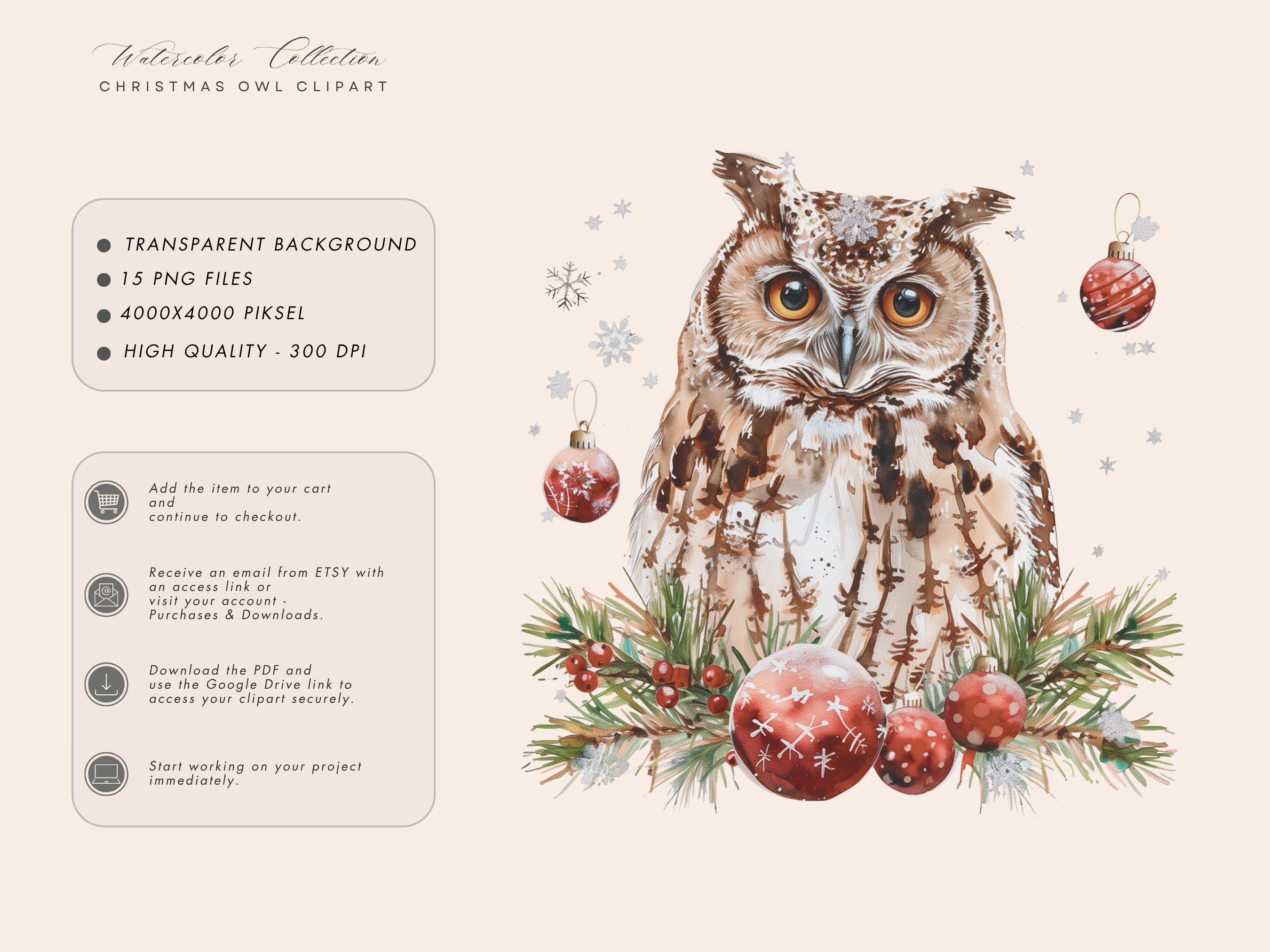 Watercolor Christmas Owl Clipart – Festive Winter Bird PNG, Holiday ...