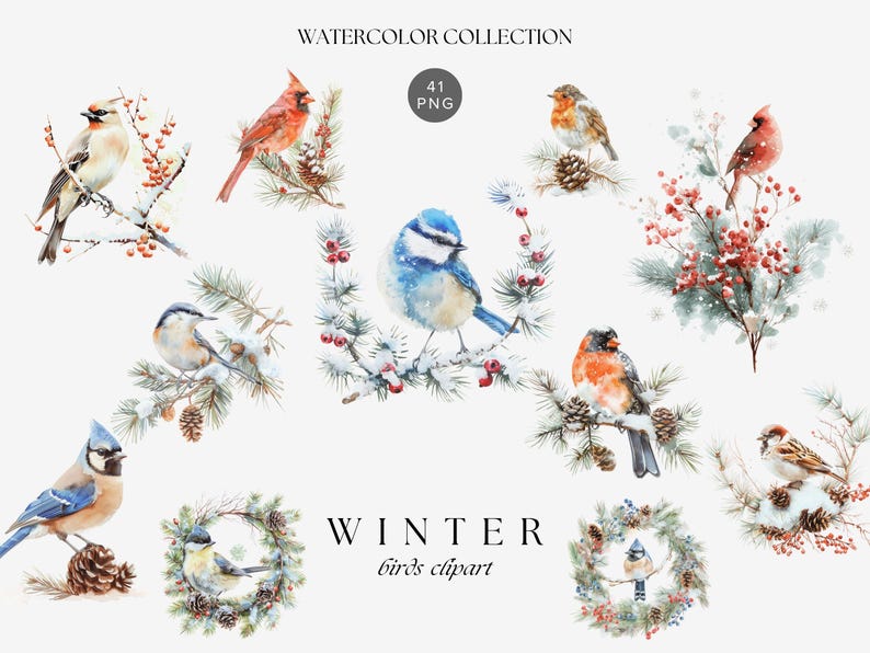 Watercolor Winter Birds Clipart – Red Cardinal & Robin Art, Snowy ...