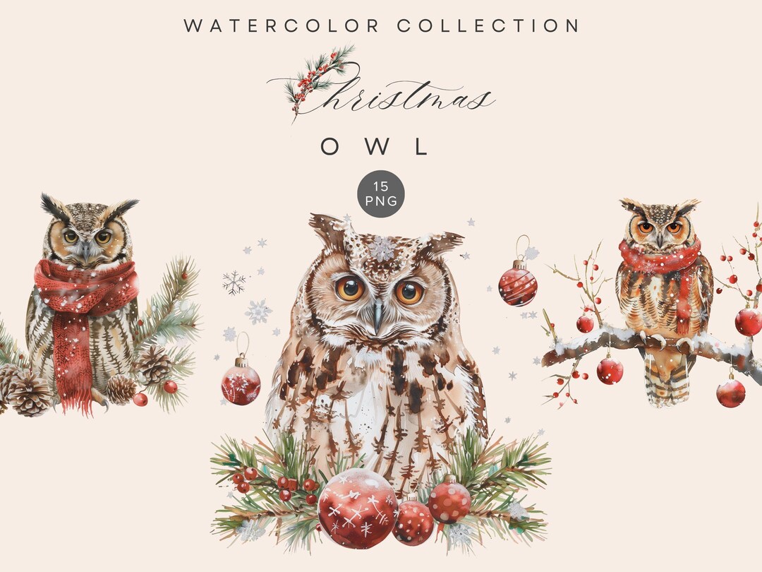 Watercolor Christmas Owl Clipart – Festive Winter Bird PNG, Holiday ...