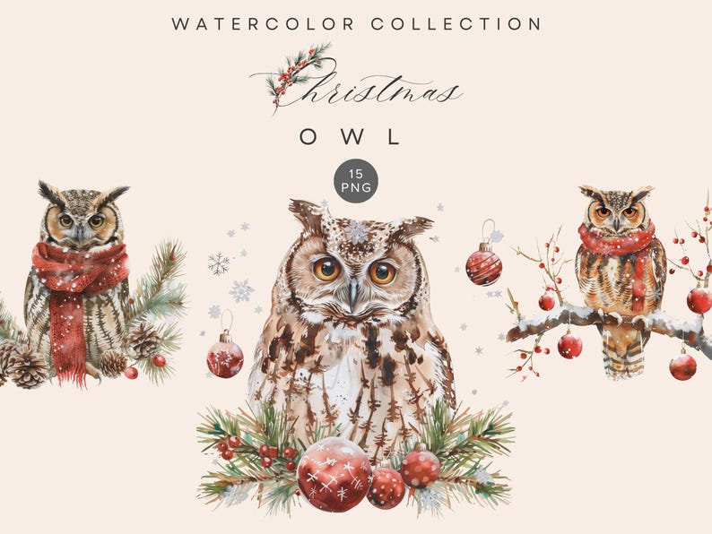Watercolor Christmas Owl Clipart – Festive Winter Bird PNG, Holiday ...