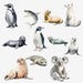 Watercolor Winter Animals Clipart, Arctic Wildlife Animals Clipart ...