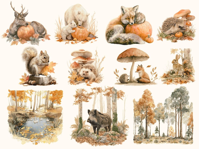 Watercolor Woodland Clipart – Fall Forest Baby Animals PNG, Autumn Art ...