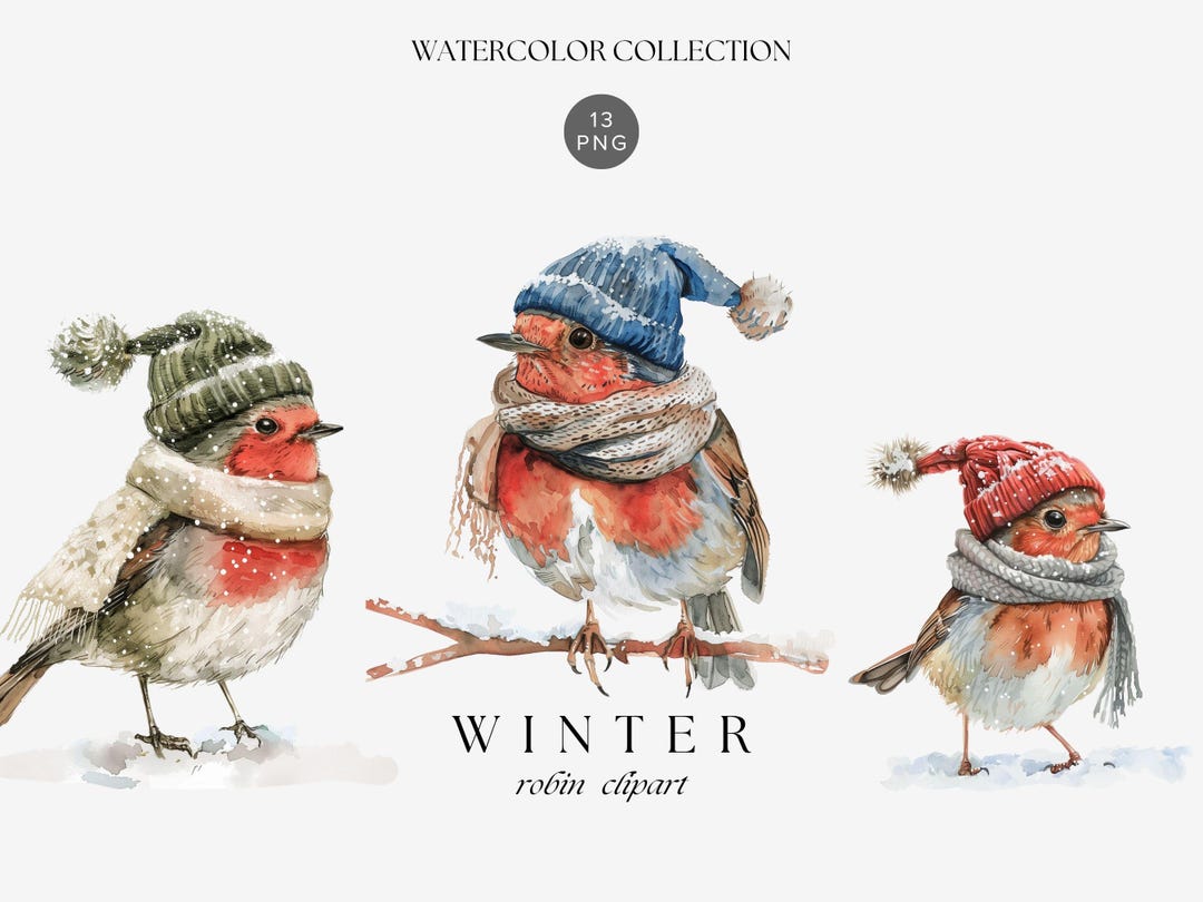 Watercolor Winter Robin Clipart – Cozy Christmas Bird Art, Woodland ...