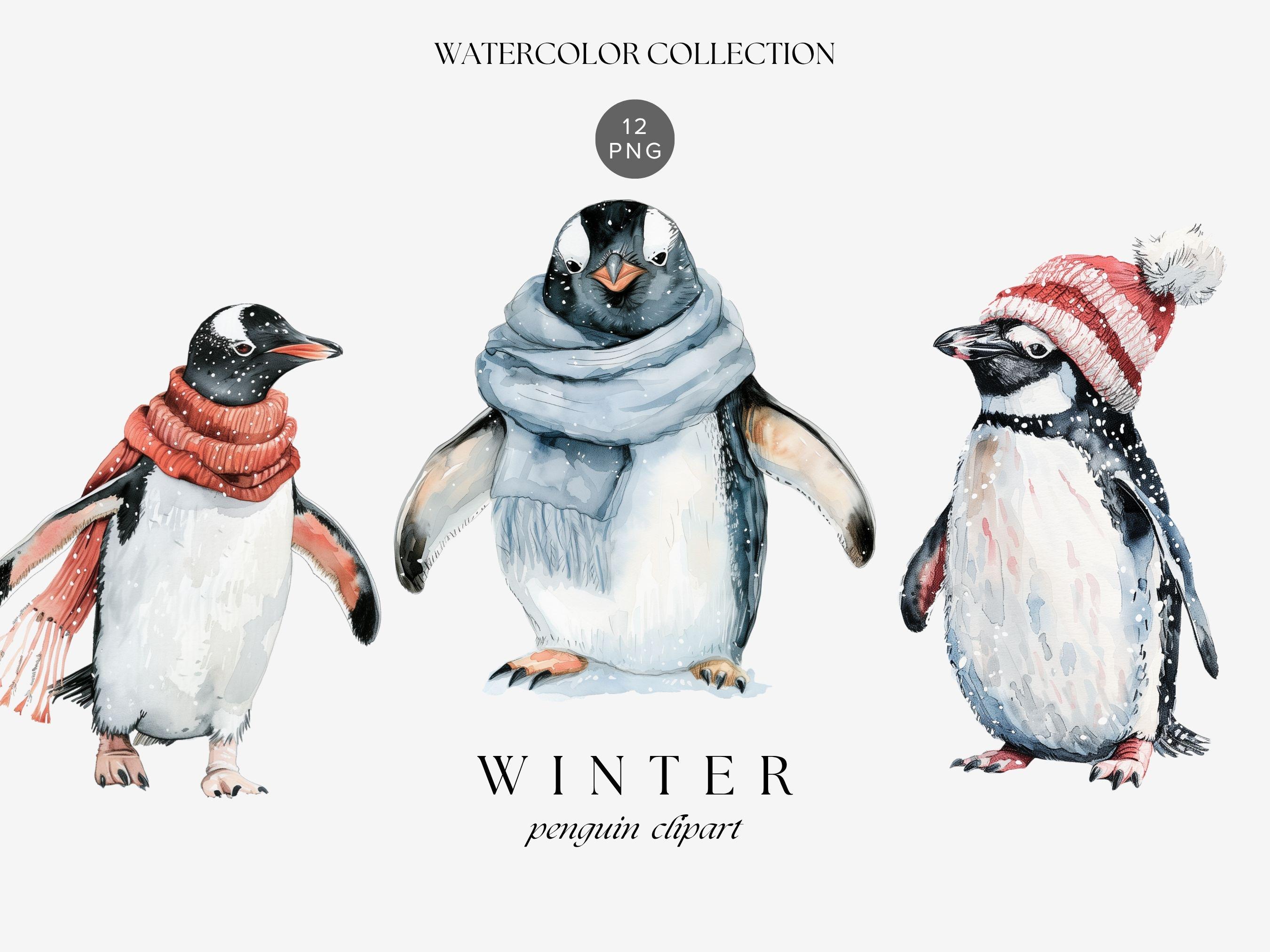Watercolor Winter Penguin Clipart, Winter Animals Clipart, Penguin ...