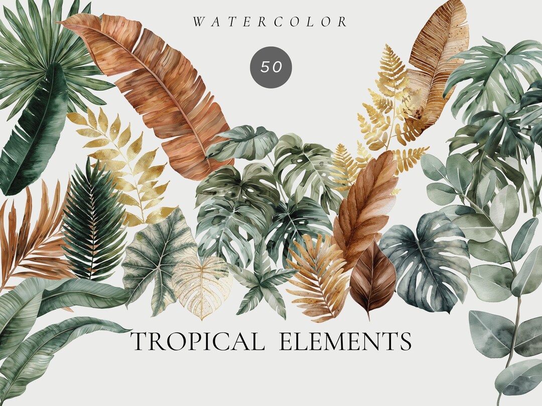 Watercolor Tropical Leaves Clipart, PNG Graphics (digital Download) - Etsy