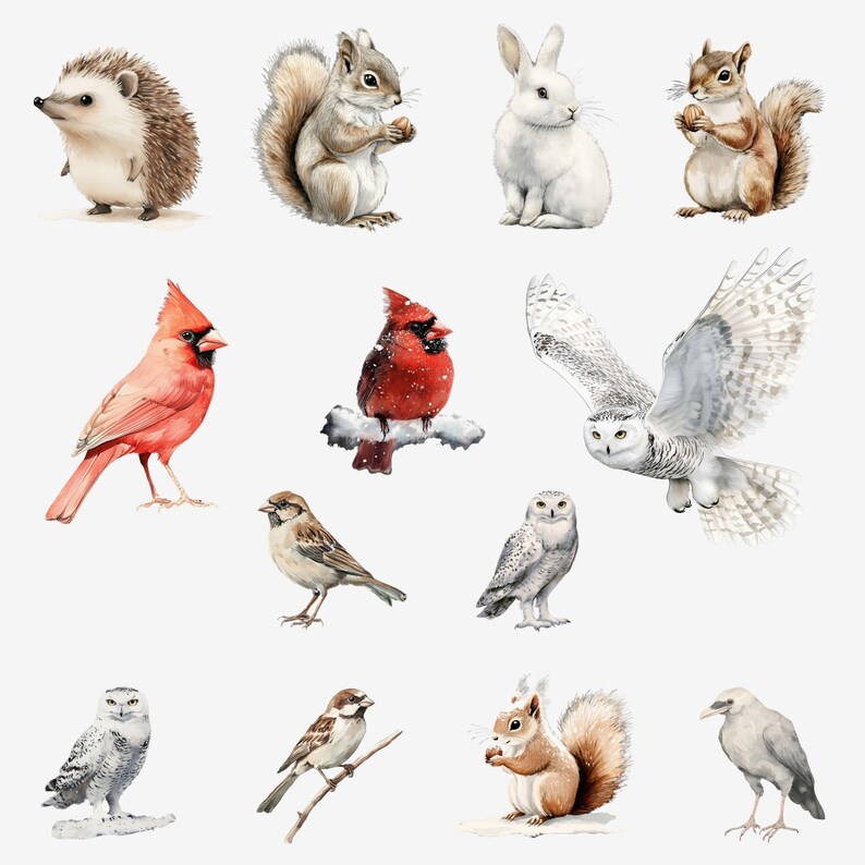 Watercolor Winter Animals Clipart, Arctic Wildlife Animals Clipart ...