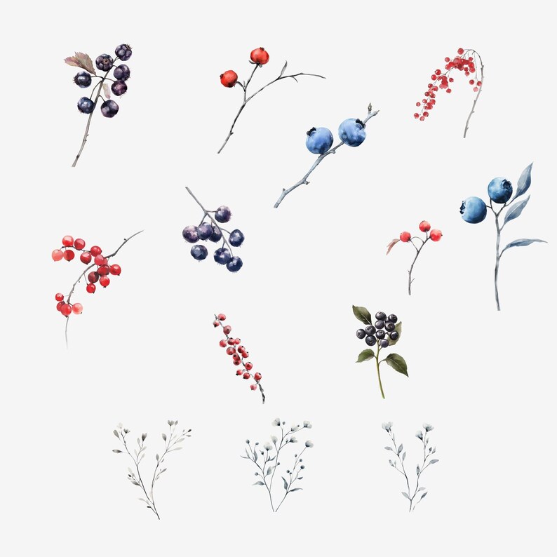 Watercolor Winter Floral Clipart, Christmas Floral Clipart, Blueberry ...