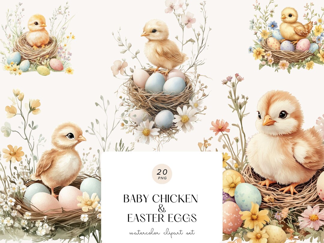 Watercolor Baby Chicken & Easter Eggs Clipart, Spring Png Graphics ...
