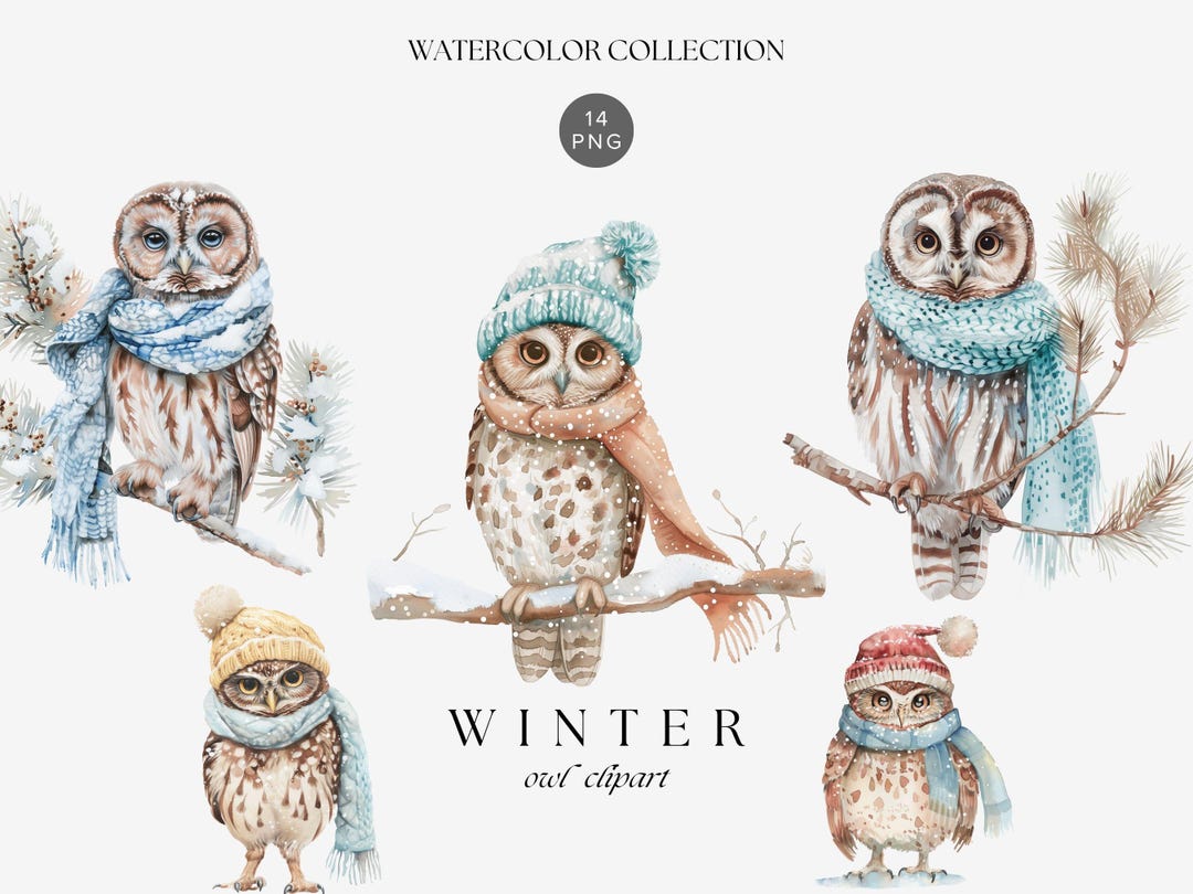 Watercolor Winter Owl Clipart – Woodland Bird Illustration, Cozy ...