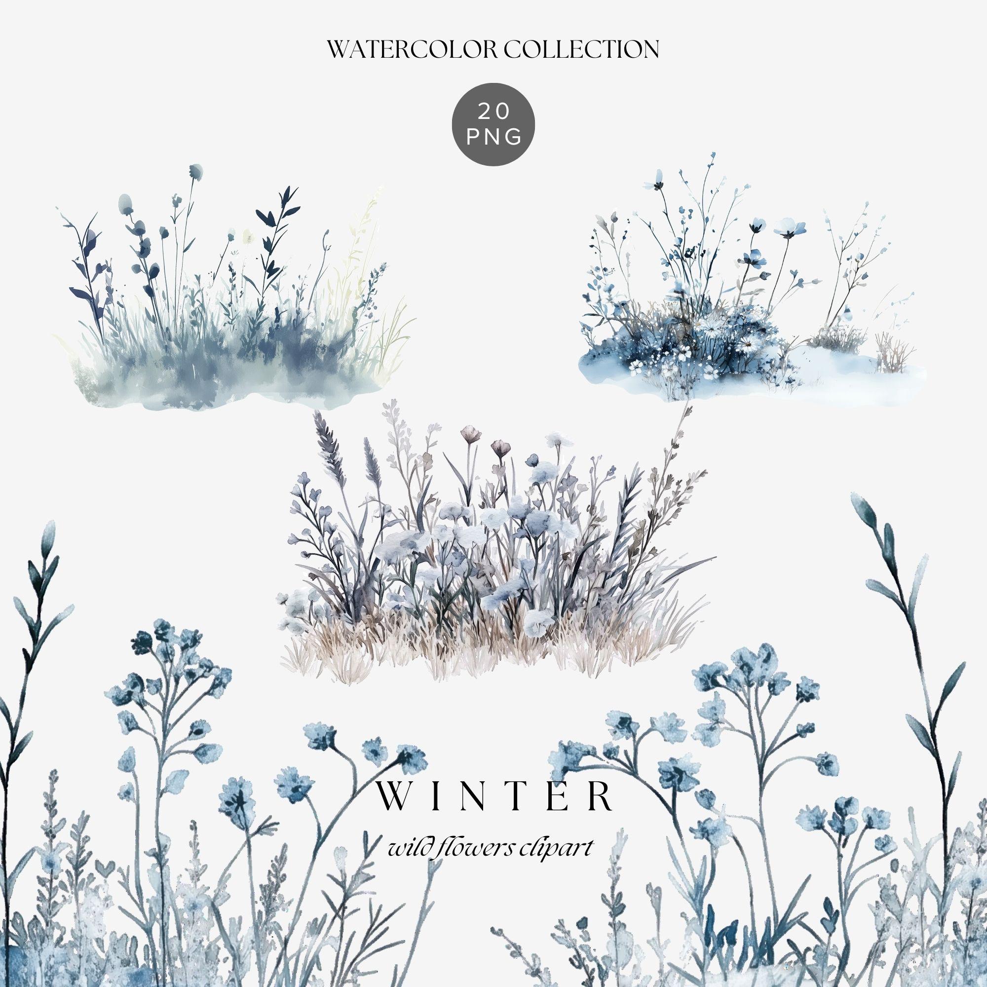 Watercolor Wild Flowers Clipart, Frosty Wild Flowers Png, Winter ...