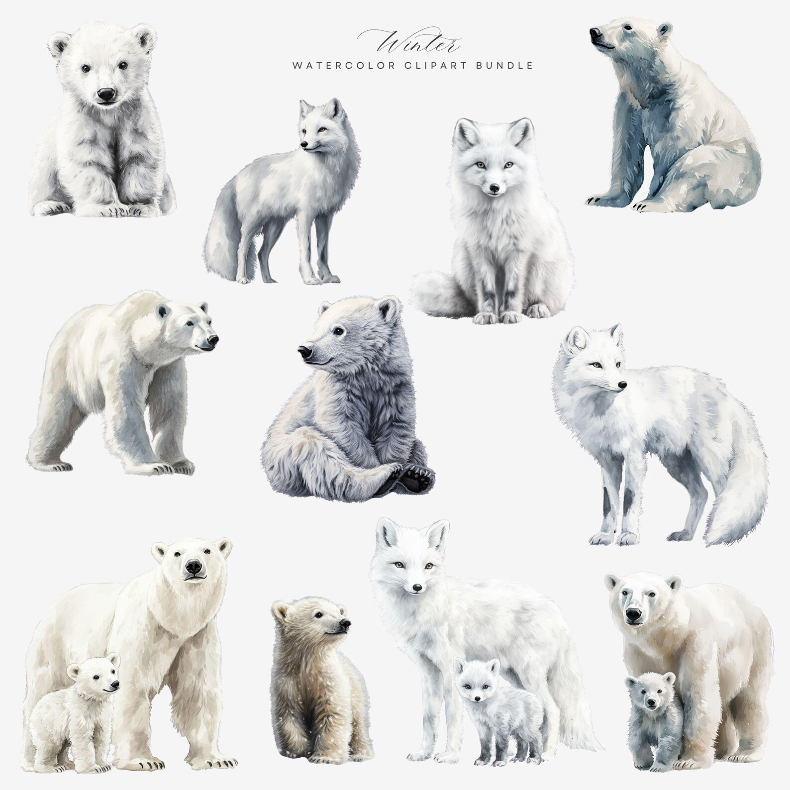 Watercolor Winter Animals Clipart, Arctic Wildlife Animals Clipart ...