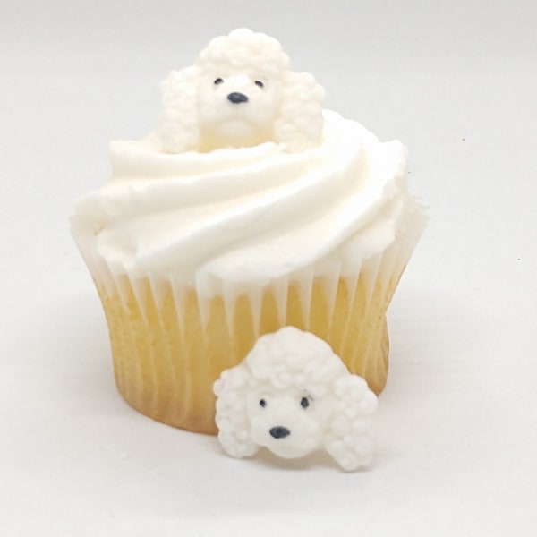 Pink Poodle Cake - Etsy