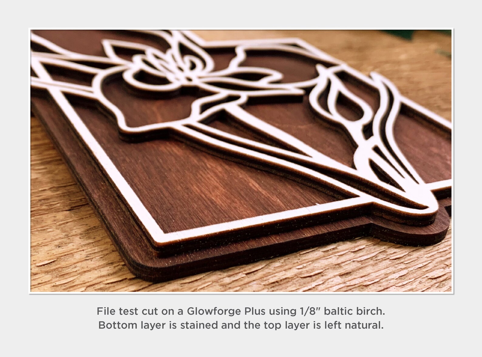 Utah Sego Lily SVG Flower SVG Laser Cut File State SVG - Etsy