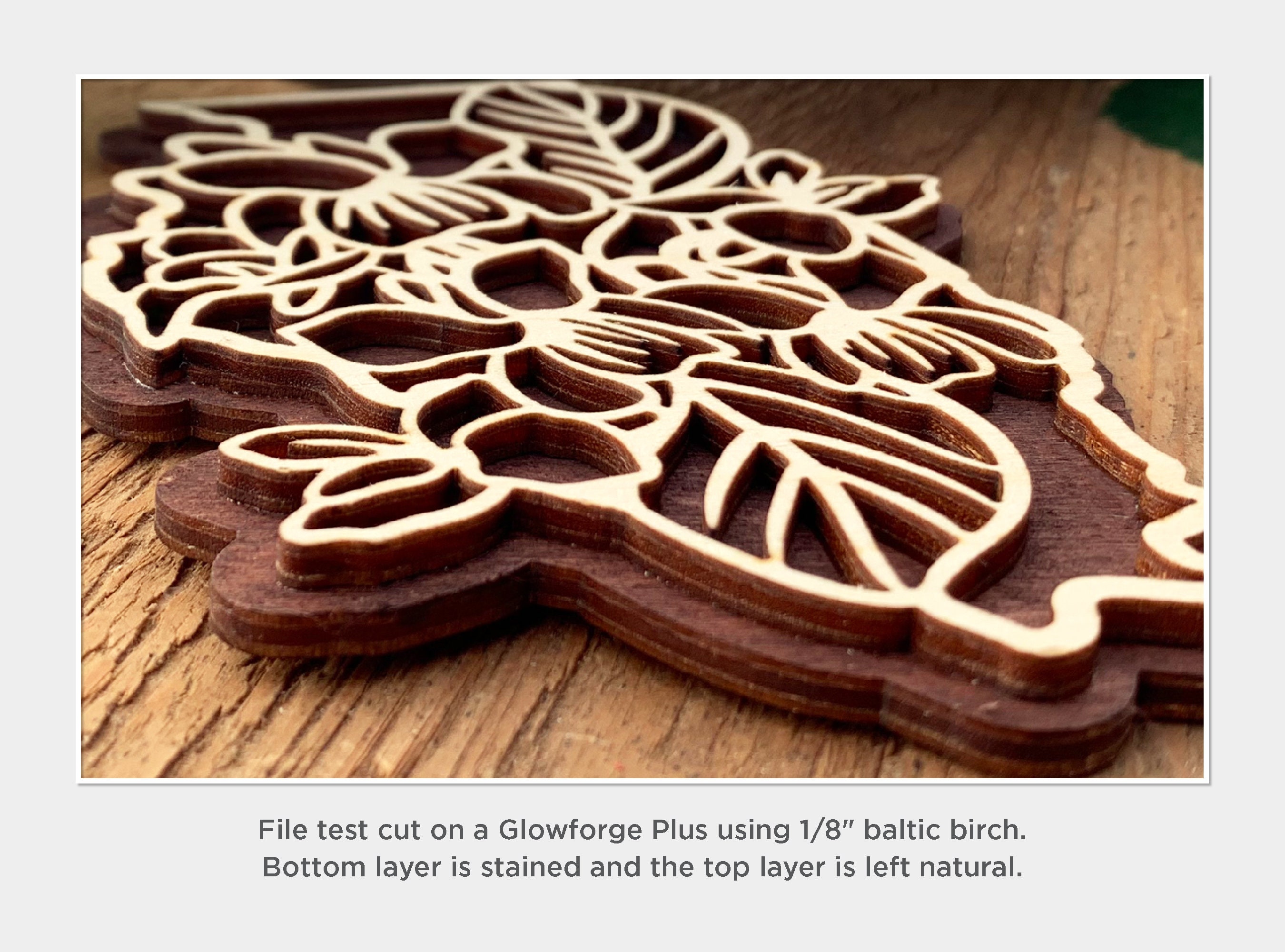 Illinois Common Blue Violet SVG Flower SVG Laser Cut File - Etsy