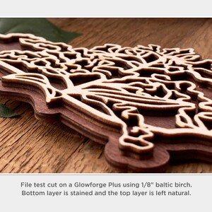 Kentucky Goldenrod SVG | Flower SVG | Laser Cut File | State SVG ...