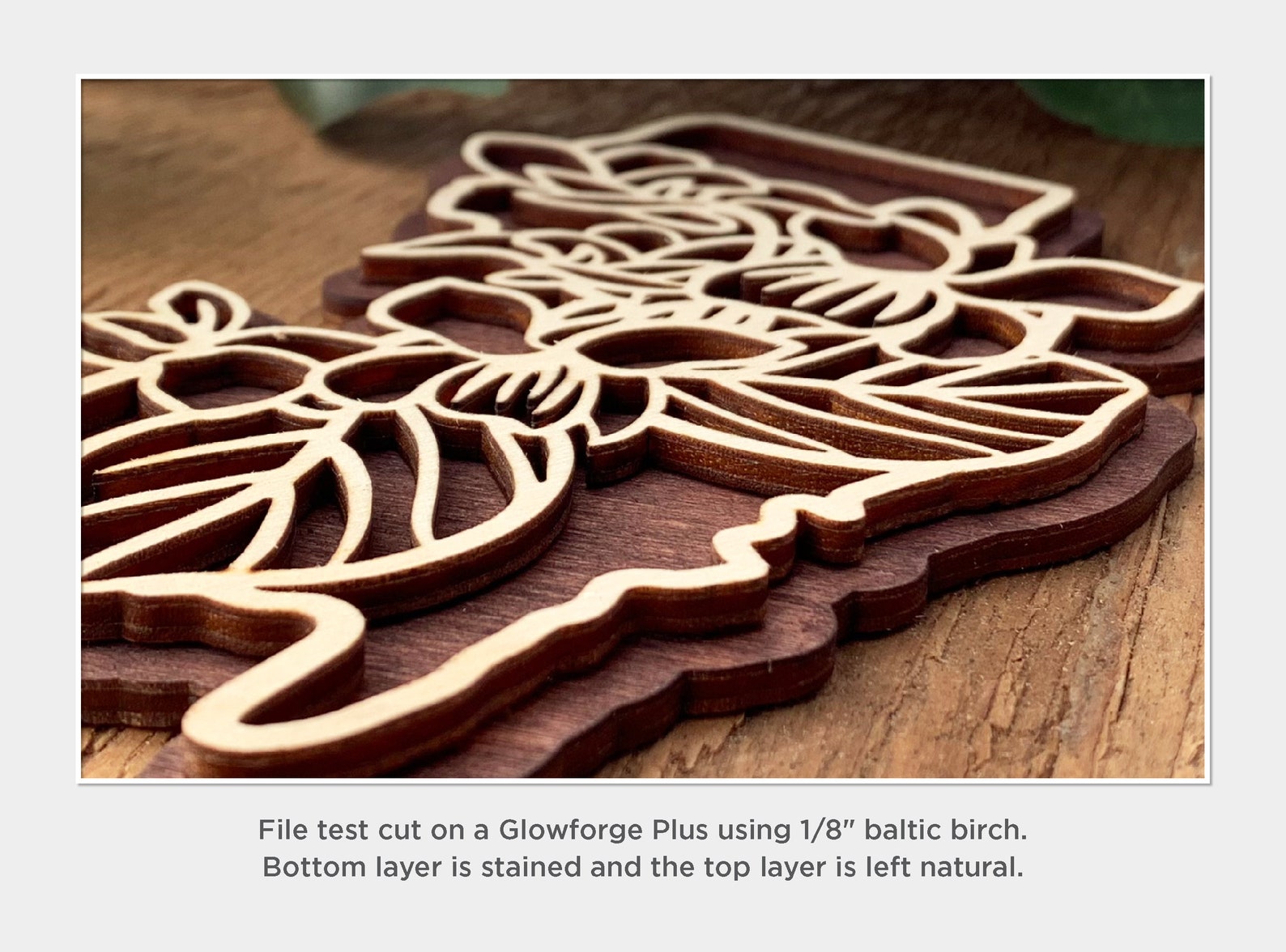 New Jersey Blue Violet SVG Flower SVG Laser Cut File New - Etsy