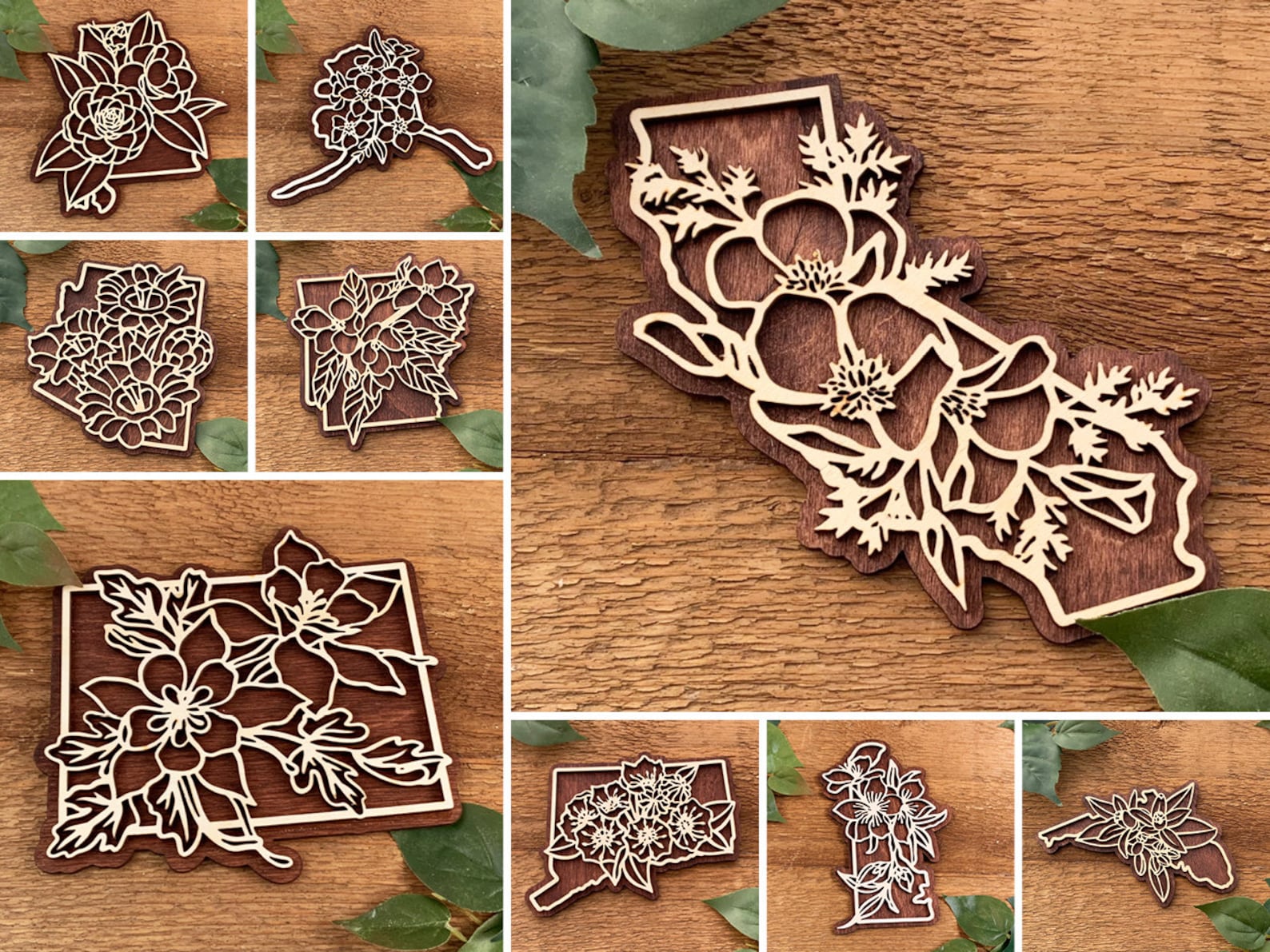 50 State Flower SVG Bundle Flower SVG Laser Cut File - Etsy