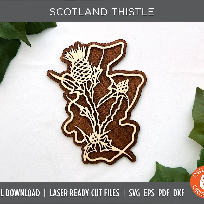 Thistle Svg - Etsy