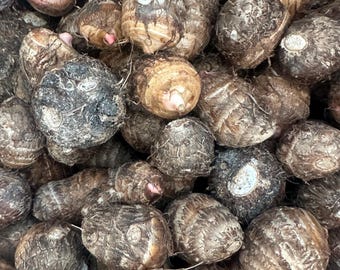 Taro Root , Whole Taro Roots, Taro Root is a Versatile Plant, Used as a ...