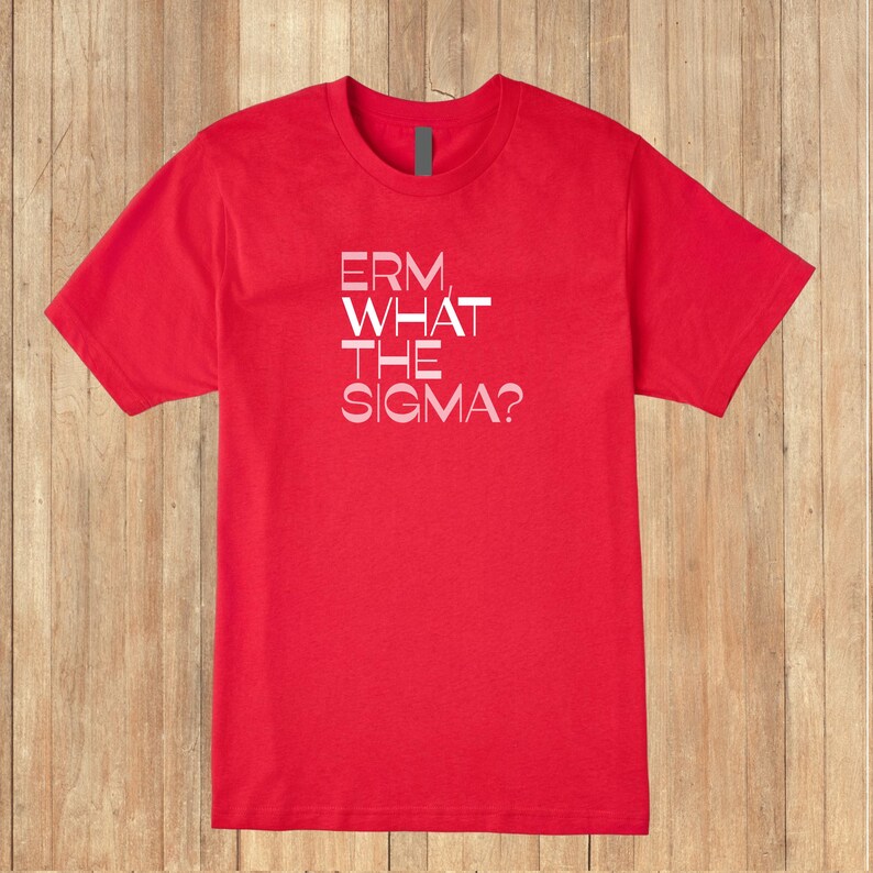 Erm, What the Sigma Shirt, Gen Z Slang, Funny Shirt, Perfect Gift for ...