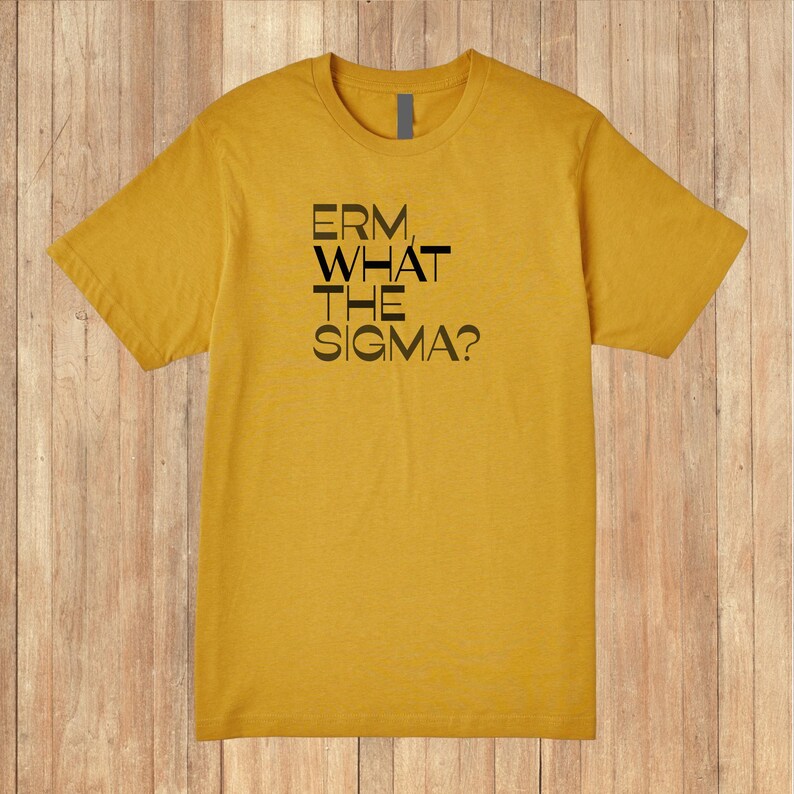Erm, What the Sigma Shirt, Gen Z Slang, Funny Shirt, Perfect Gift for ...
