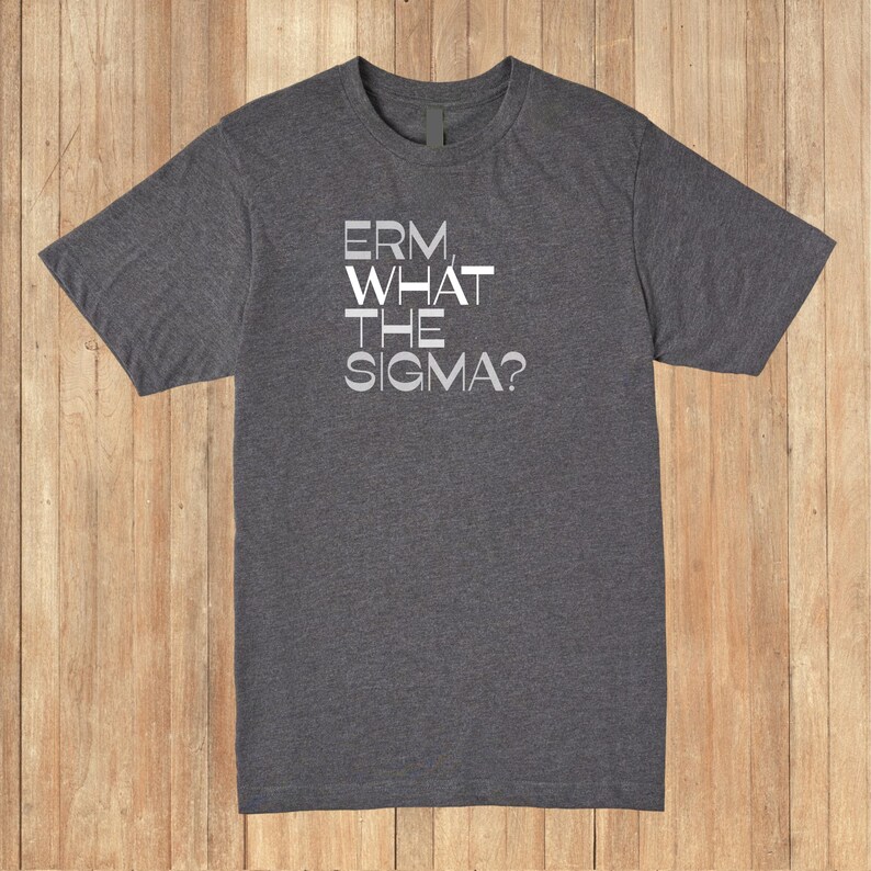Erm, What the Sigma Shirt, Gen Z Slang, Funny Shirt, Perfect Gift for ...