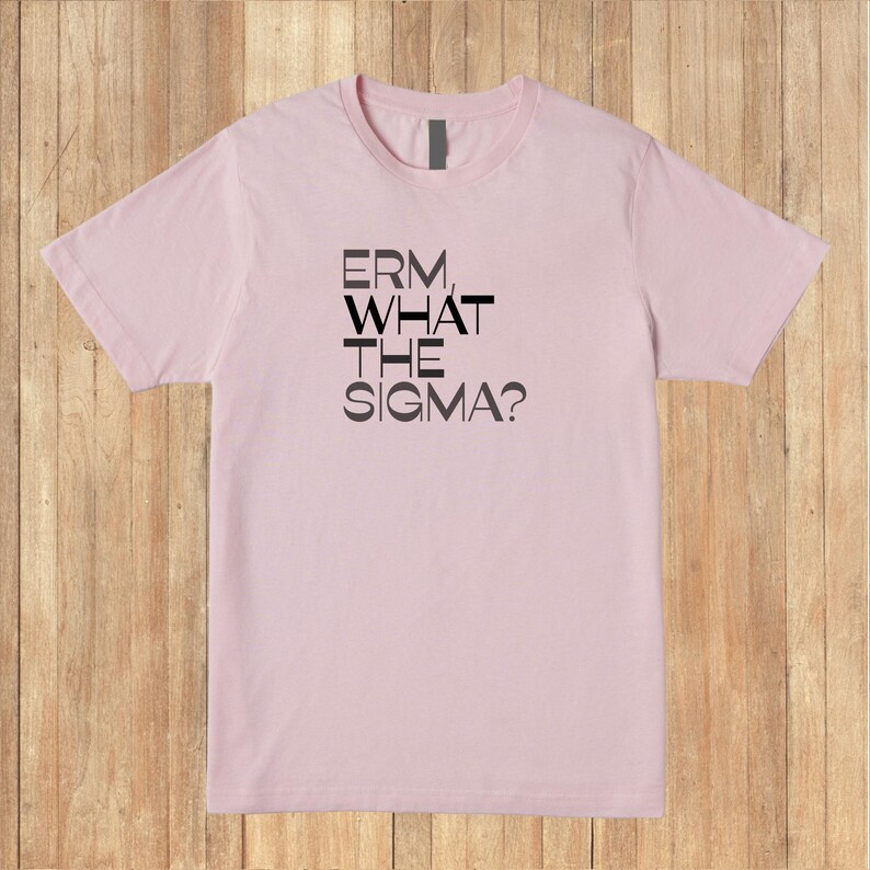 Erm, What the Sigma Shirt, Gen Z Slang, Funny Shirt, Perfect Gift for ...