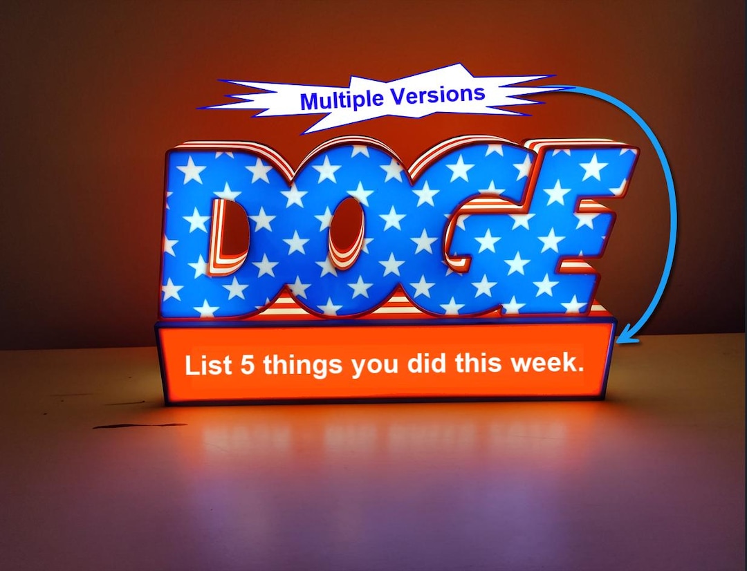 DOGE Light-up Signs (multiple Versions) — Department of Government ...