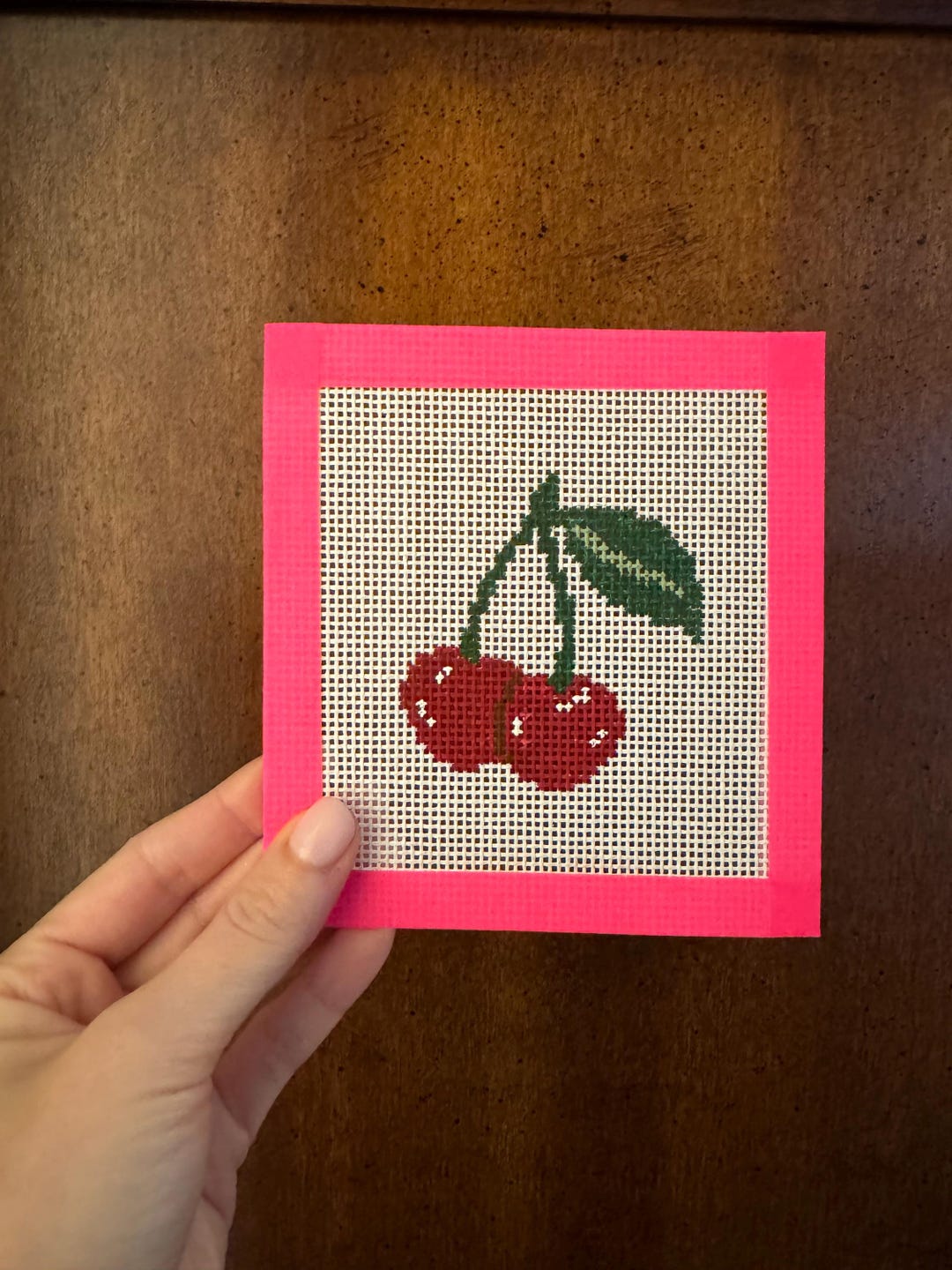 Starter DIY Needlepoint Kit- MINI Cherry 13 Mesh Handmade Painted ...