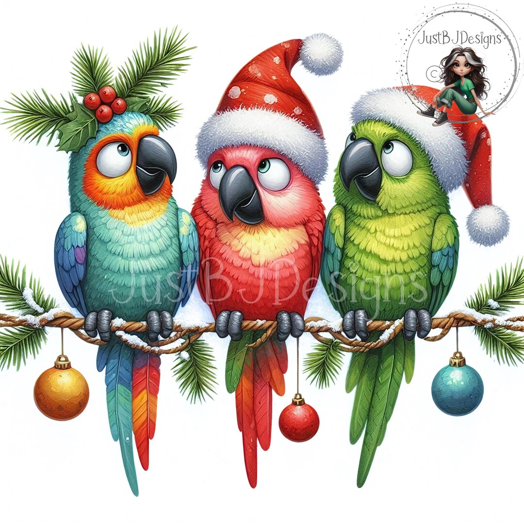 Whimsical Quirky Christmas Birds Clipart - 15 High Resolution PNG & JPG ...