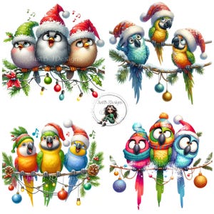 Whimsical Quirky Christmas Birds Clipart - 15 High Resolution PNG & JPG ...