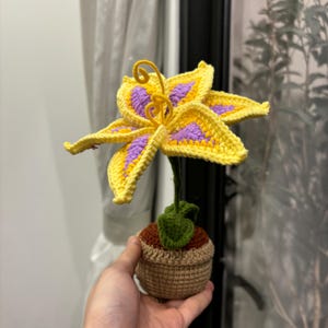 Sundrop Crochet in Pot, Finished Flowers, Knitted Flower Bouquet, Car ...