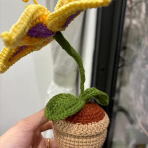 Sundrop Crochet in Pot, Finished Flowers, Knitted Flower Bouquet, Car ...