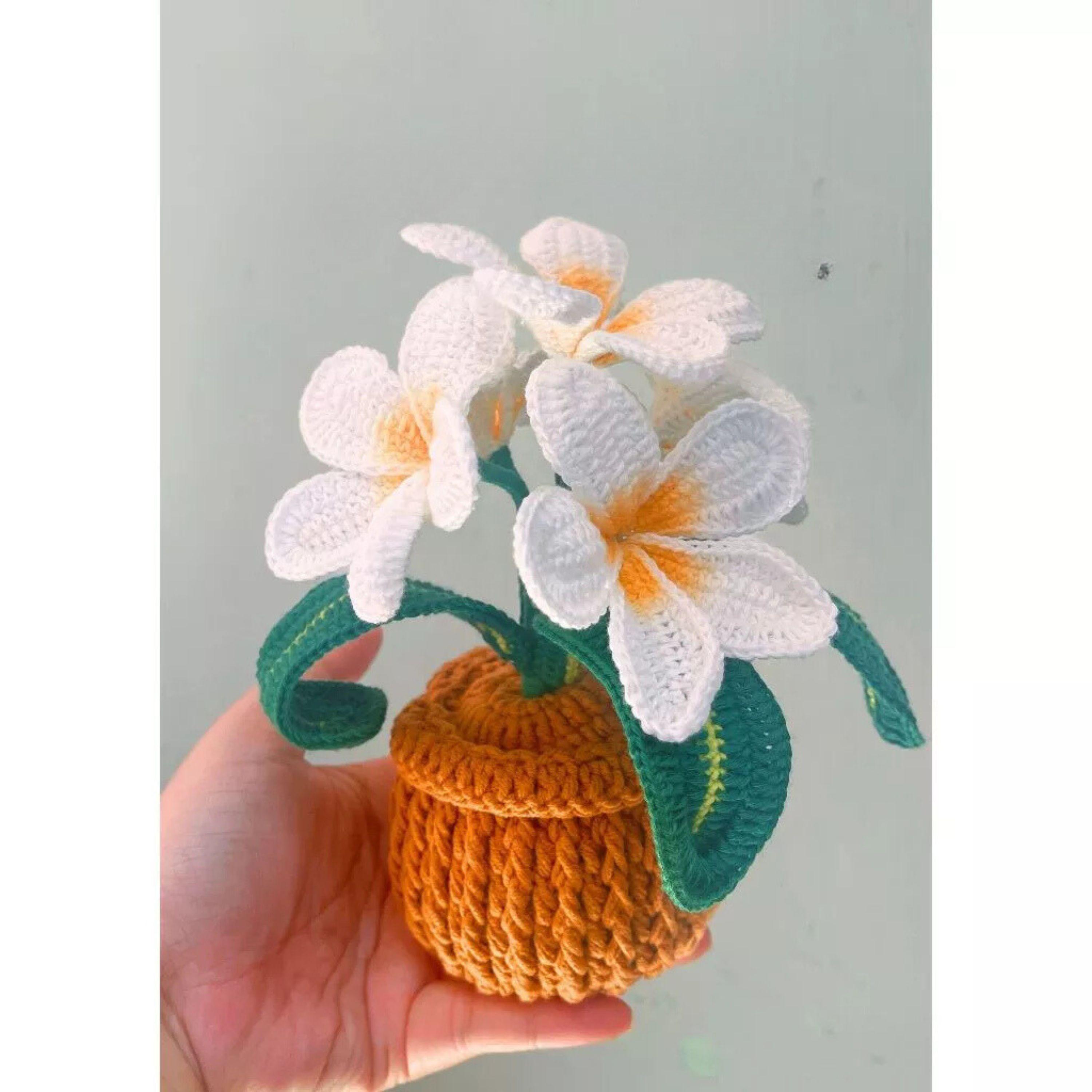 Finished Plumeria Flower Crochet in Pot, Handmade Plant Bouquet, Women ...