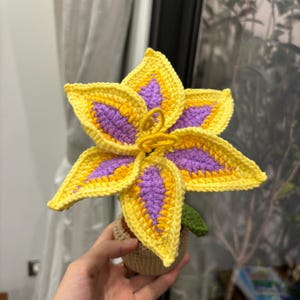 Sundrop Crochet in Pot, Finished Flowers, Knitted Flower Bouquet, Car ...