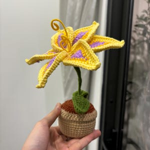 Sundrop Crochet in Pot, Finished Flowers, Knitted Flower Bouquet, Car ...