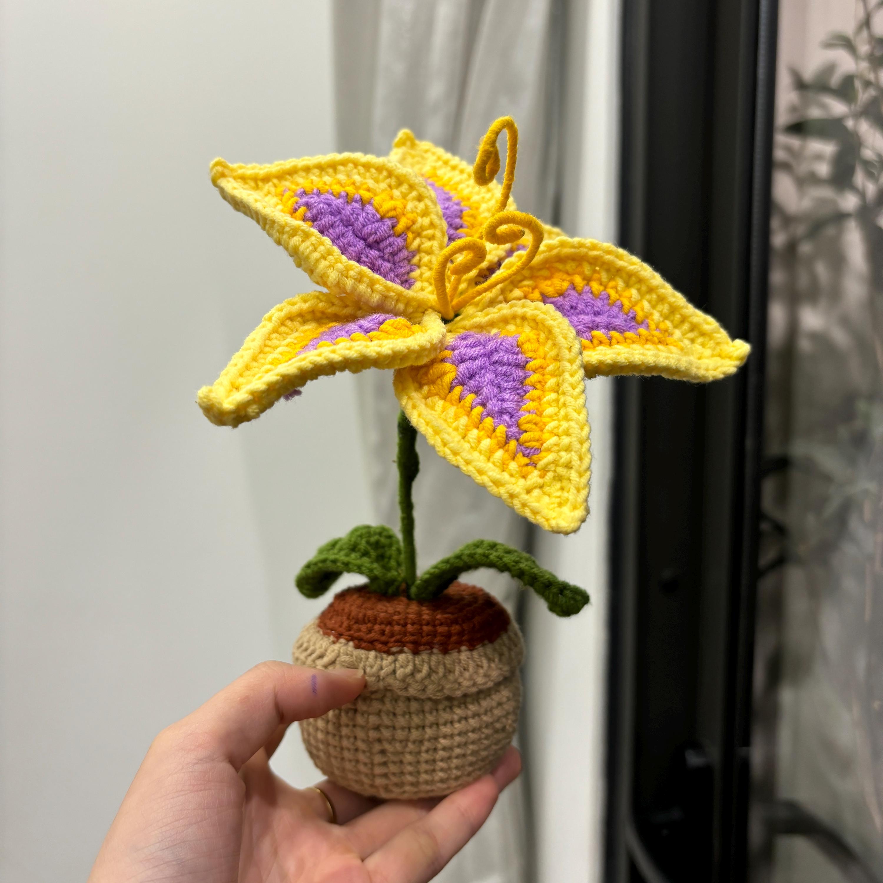 Sundrop Crochet in Pot, Finished Flowers, Knitted Flower Bouquet, Car ...