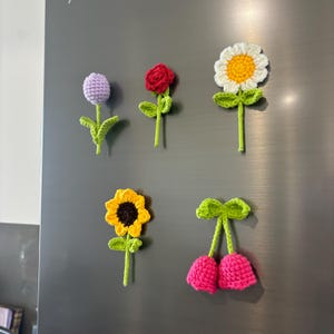 Crocheted Refrigerator Magnets, Fridge Magnets for Kitchen Decor ...