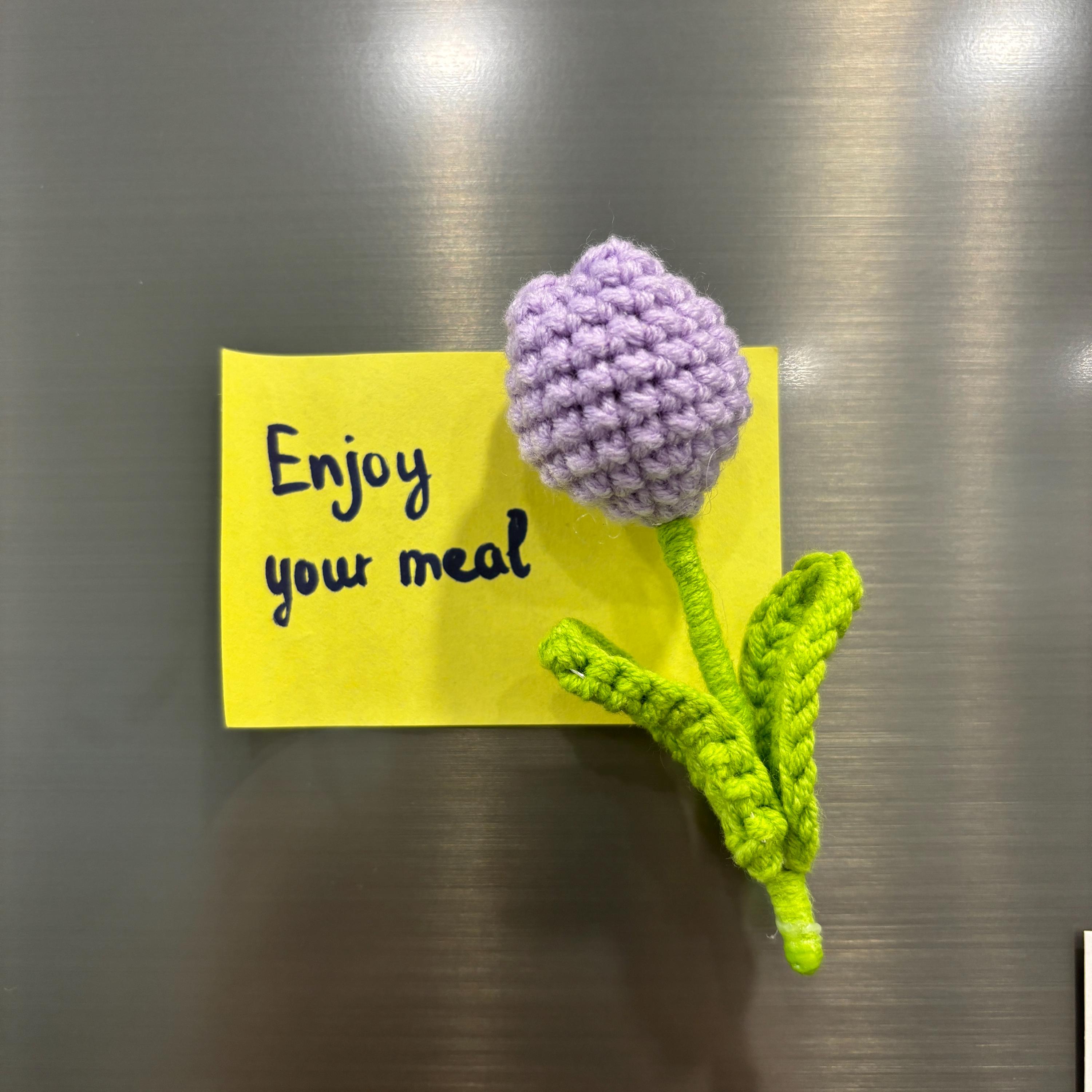 Crocheted Refrigerator Magnets, Fridge Magnets for Kitchen Decor ...