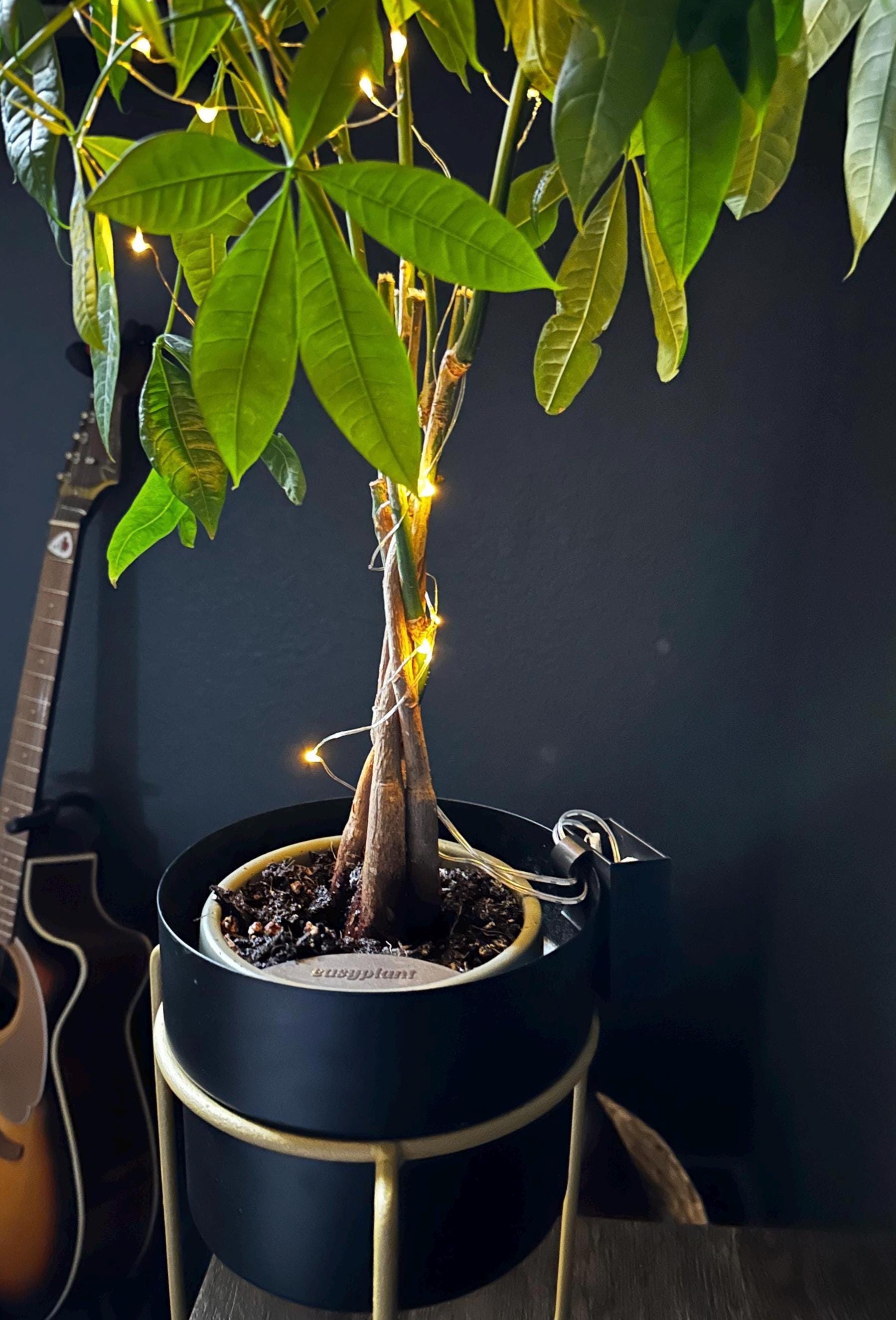 Botanical Battery Buddy: Plant Pot Light Battery Pack Holder - Etsy