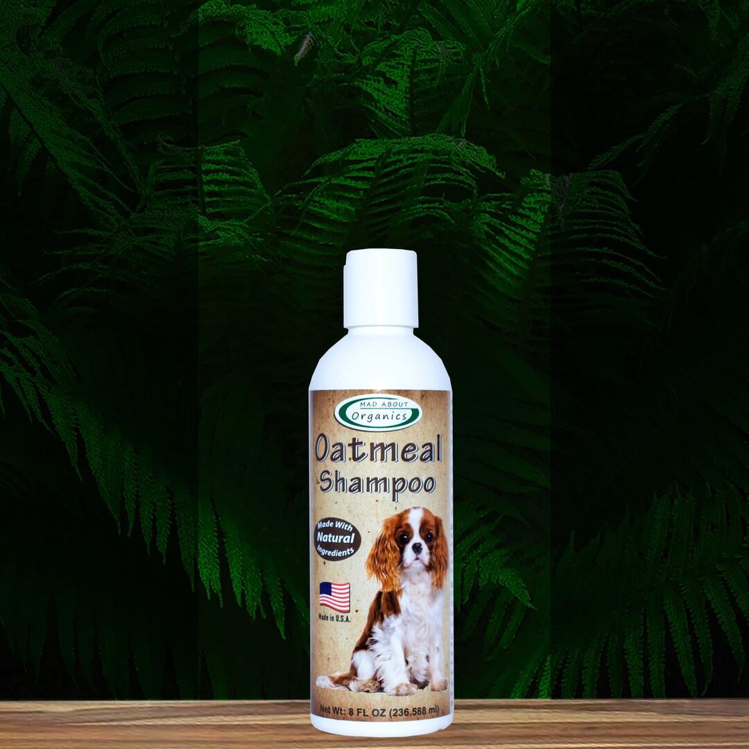 Shampoo - Oatmeal Formulated for Dogs - 8oz - One of the Best Oatmeal ...