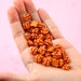 Fake Nuts - 12mm Fake Walnut Slices Plastic Food or Resin Cabochons ...